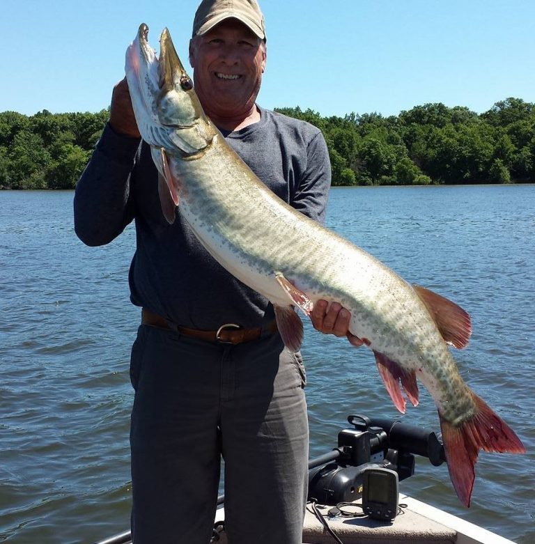 Fishing Guides – Shabbona Lake State Park